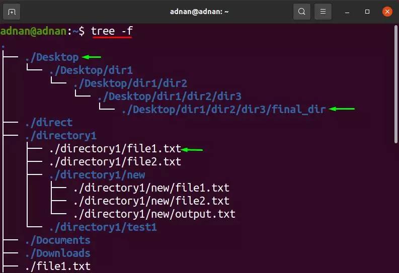 什麼是 Ubuntu 中的樹命令 12557_8