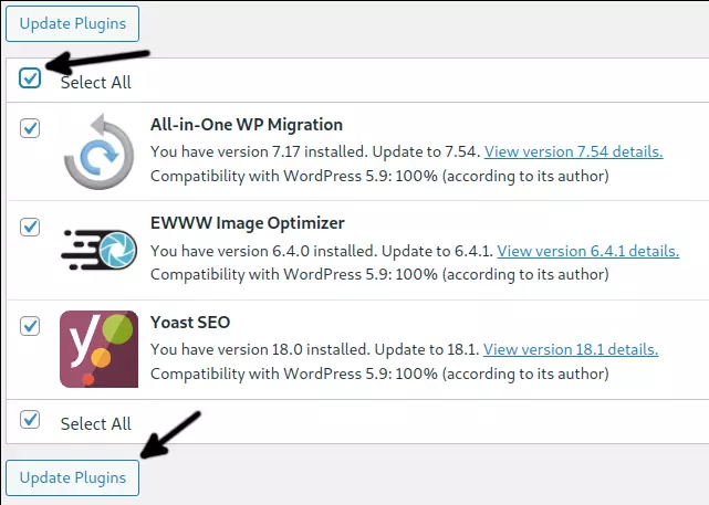 Resolver error: “¡No se pudo completar una actualización automática de WordPress! Por favor notifique al administrador del sitio.” 1255_2