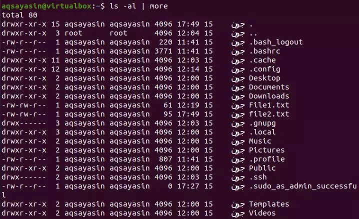 مىساللار بىلەن Linux تۇرۇبا بۇيرۇقى 12576_6