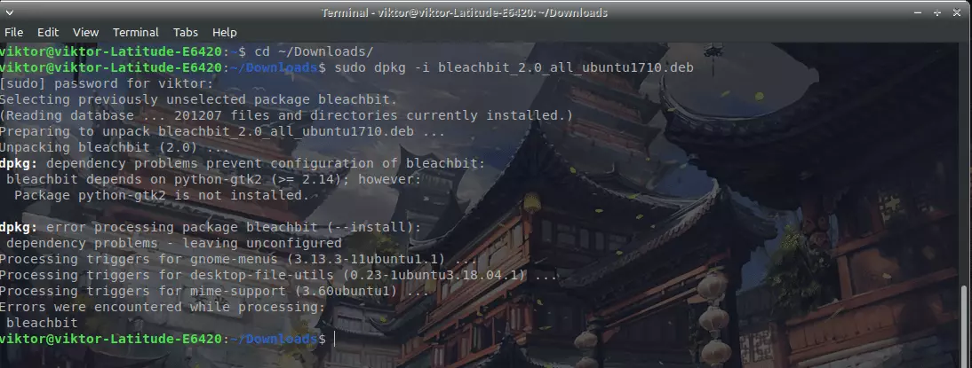 ຕິດຕັ້ງ BleachBit ສໍາລັບ Ubuntu 12606_4