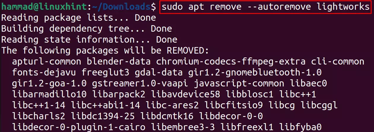 Come installare il software di editing non lineare Lightworks su Ubuntu 22.04 12678_12