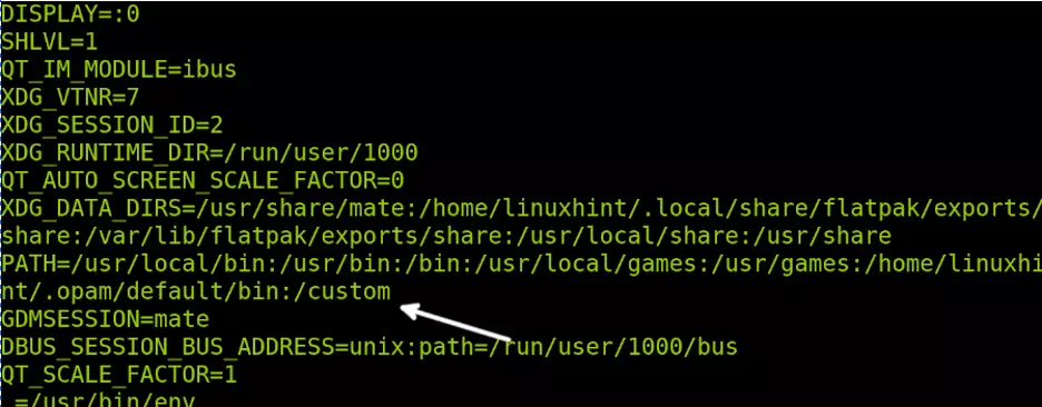 Pandhuan kanggo Mbusak Variabel Lingkungan ing Linux 126_10