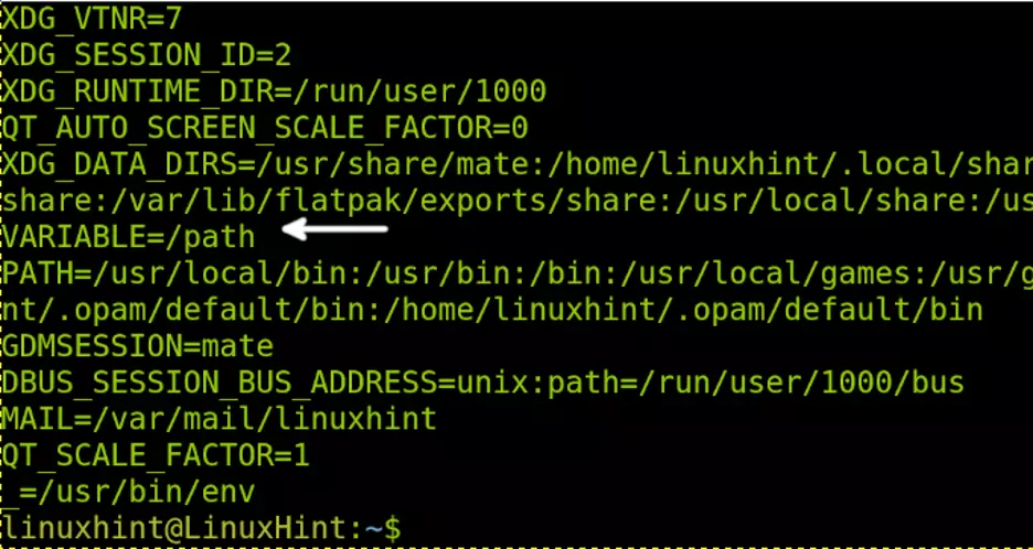 Průvodce odstraněním proměnných prostředí v Linuxu 126_14