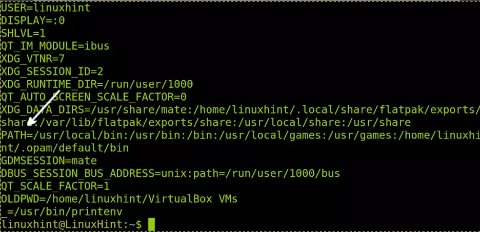 Vodič za uklanjanje varijabli okruženja u Linuxu 126_6