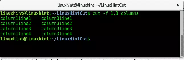 Come usare il comando linux cut 12902_11