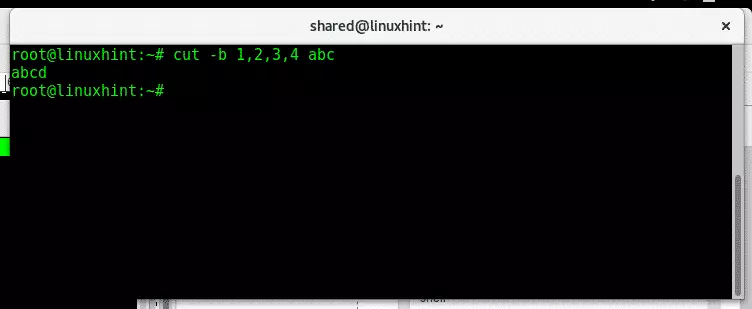linux kesim komutu nasıl kullanılır 12902_5