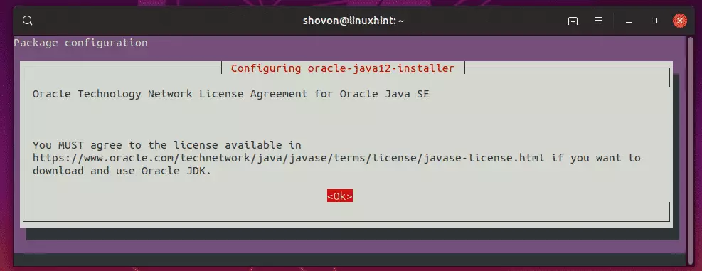 Kuidas installida JDK 12 Ubuntu 19.04 12998_12