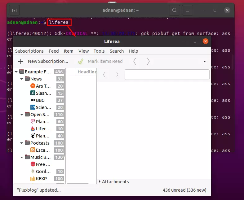Uyifaka njani iLiferea kwi-Ubuntu 13052_3
