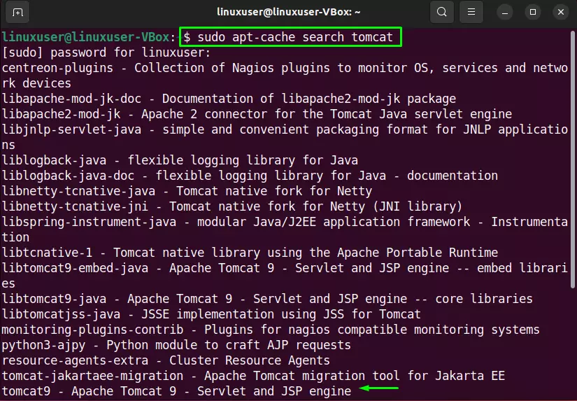 Cum se instalează Apache Tomcat Server pe Ubuntu 22.04 13092_5