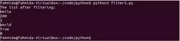 በ Python ውስጥ የሕብረቁምፊዎች ዝርዝር እንዴት እንደሚጣራ 13098_5