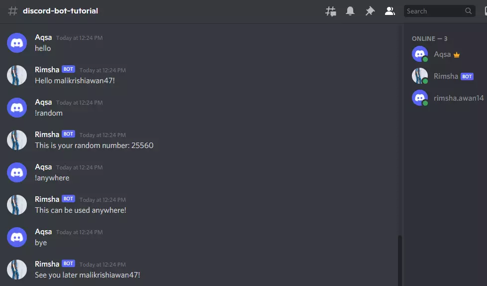 Python Discord ბოტის მაგალითი 13183_22