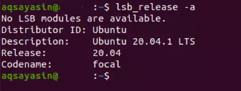 Nigute Nzamura Ubuntu muri Terminal? 13242_19