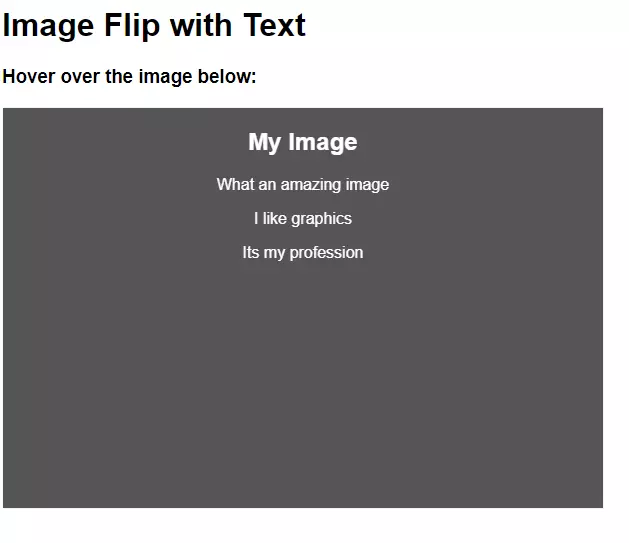 CSS Фондук Сүрөттү Flip 1329_19