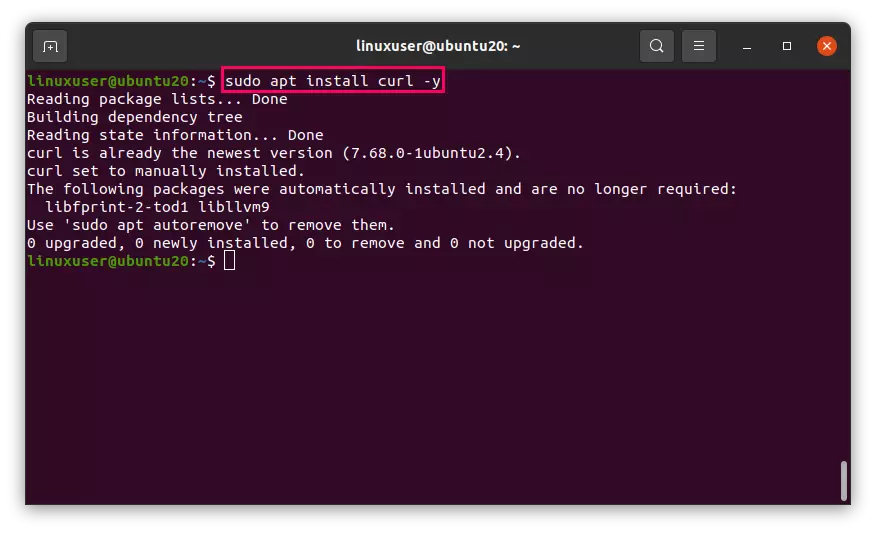 Wie installiere ich das neueste Node.js unter Linux? 13318_6