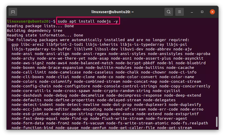 Wie installiere ich das neueste Node.js unter Linux? 13318_8