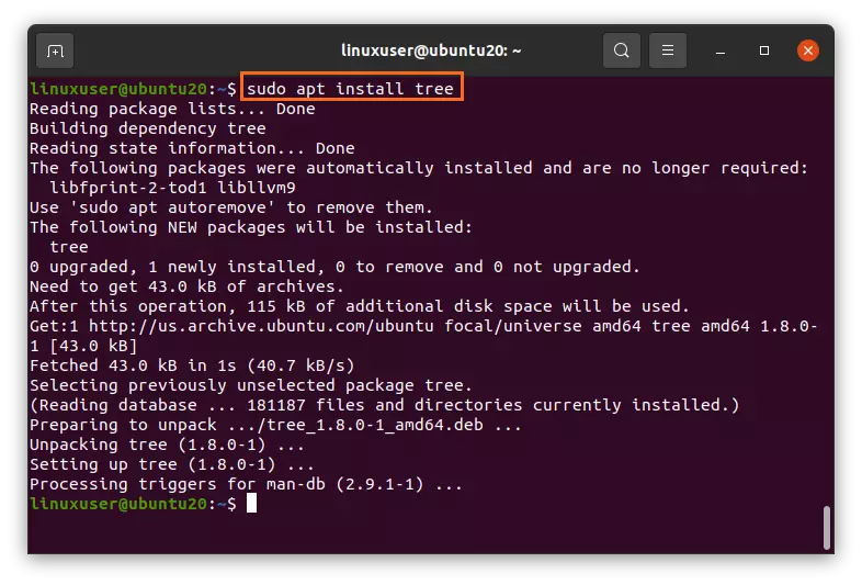 Linux failų sistemos hierarchija