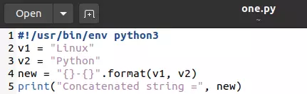 Mga Ehemplo sa Concatenation sa Python String 13372_10