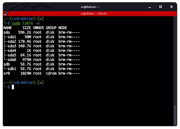 Esercitazione sui comandi Linux lsblk per principianti 13384_5