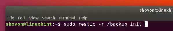Meriv çawa Restic-ê li Ubuntu 18.04 saz dike û bikar tîne 13387_11
