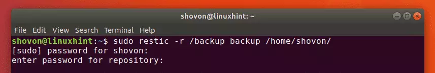 Kaip įdiegti ir naudoti Restic Ubuntu 18.04 13387_16