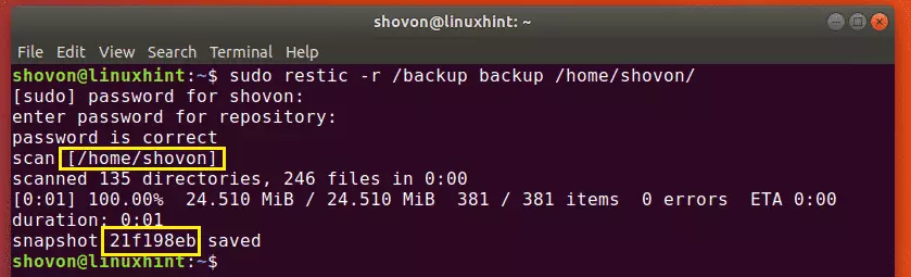 Sut i Gosod a Defnyddio Restic ar Ubuntu 18.04 13387_17