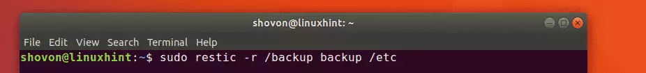 So installieren und verwenden Sie Restic unter Ubuntu 18.04 13387_18