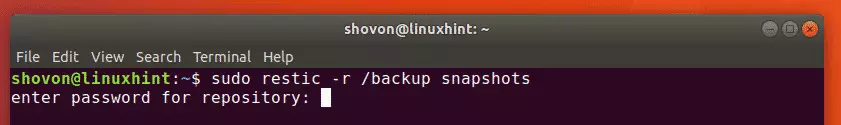 Kā instalēt un izmantot Restic Ubuntu 18.04 13387_21