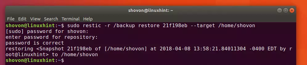 ວິທີການຕິດຕັ້ງແລະໃຊ້ Restic ໃນ Ubuntu 18.04 13387_25