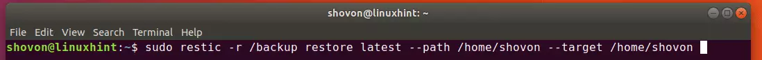 Kaip įdiegti ir naudoti Restic Ubuntu 18.04 13387_26
