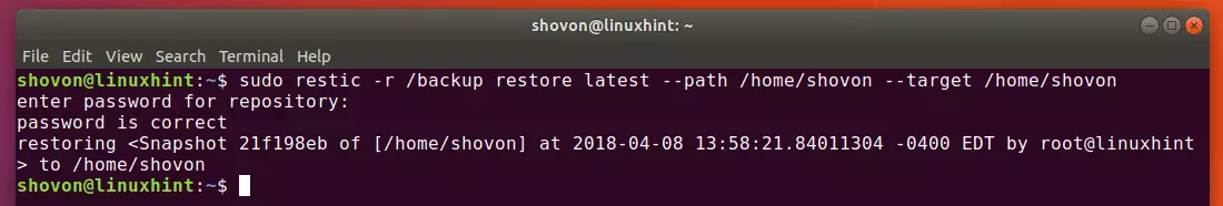 Meriv çawa Restic-ê li Ubuntu 18.04 saz dike û bikar tîne 13387_27
