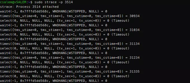 So verwenden Sie Strace unter Linux 13401_4