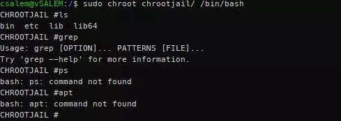 Linux Chroot ജയിലുകൾ എങ്ങനെ സജ്ജീകരിക്കാം 13402_10