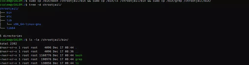 Linux Chroot төрмәләрен ничек урнаштырырга 13402_5