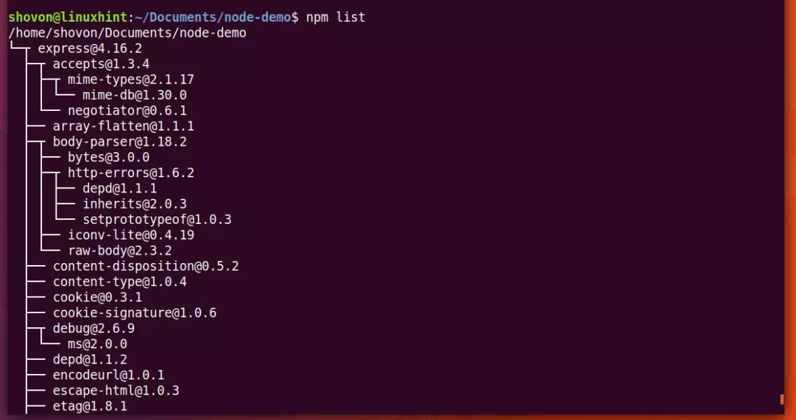 Տեղադրեք NPM NodeJS փաթեթի կառավարիչը Ubuntu-ում 13416_20