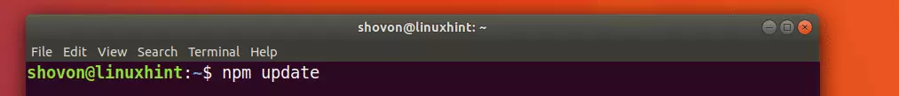 Installa NPM NodeJS Package Manager fuq Ubuntu 13416_7