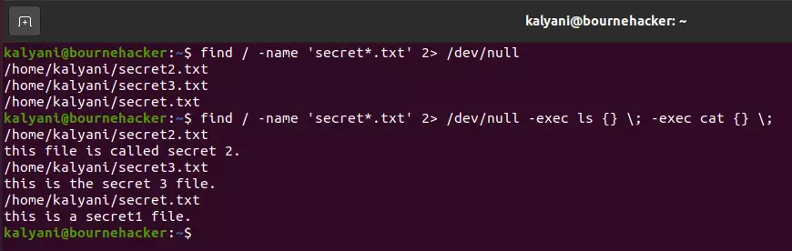 Linux पर Find -Exec कमांड 1373_3