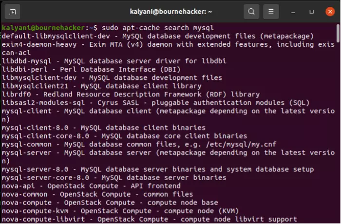 Installer et travailler avec des packages dans Ubuntu 1374_1
