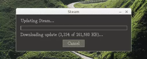 Steam installeren en gebruiken op Linux Mint 1399_14