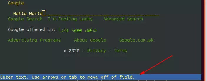 En İyi Linux Metin Tabanlı Tarayıcılar 1406_7