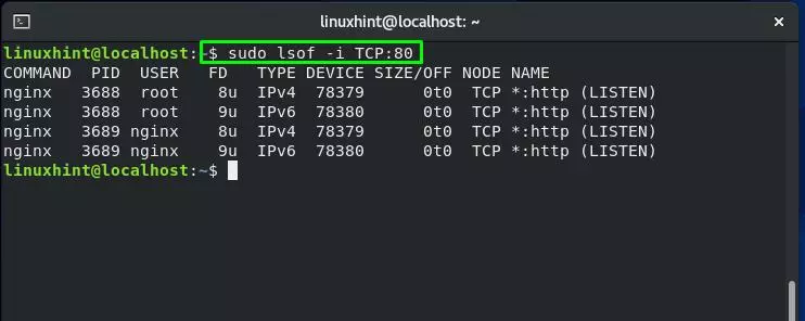 Kaip patikrinti Nginx būseną 1432_11