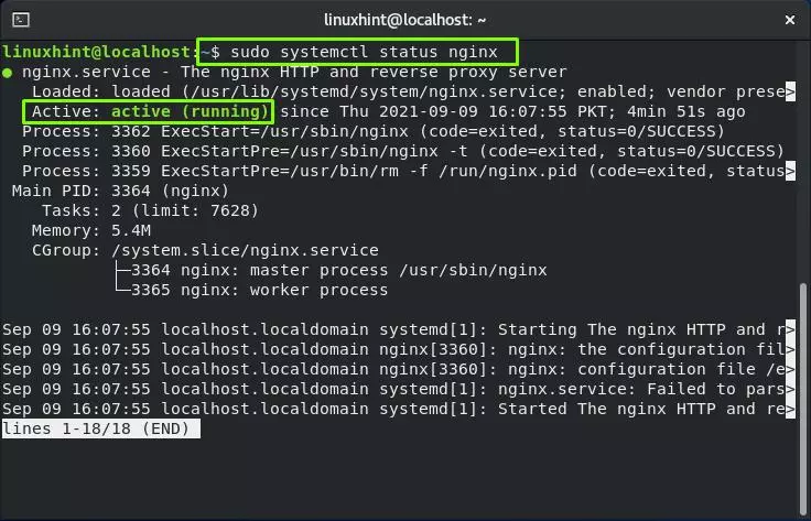 איך אני בודק סטטוס Nginx 1432_9