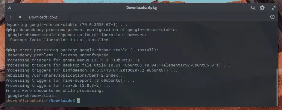 Google Chrome қолданбасын Elementary OS 5 Juno жүйесіне орнатыңыз 1499_13