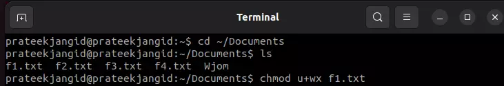 Cómo sobrescribir un archivo de solo lectura en Linux 14_2