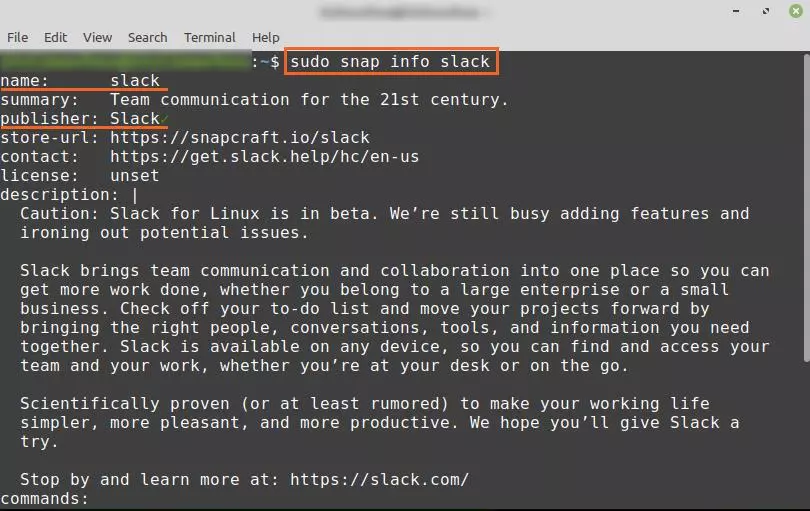 Linux Mint 20-de Slack nädip gurmaly? 1509_10