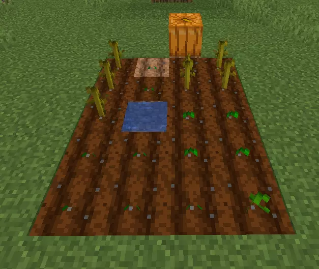 Како да одгледувате тикви во Minecraft 1587_10