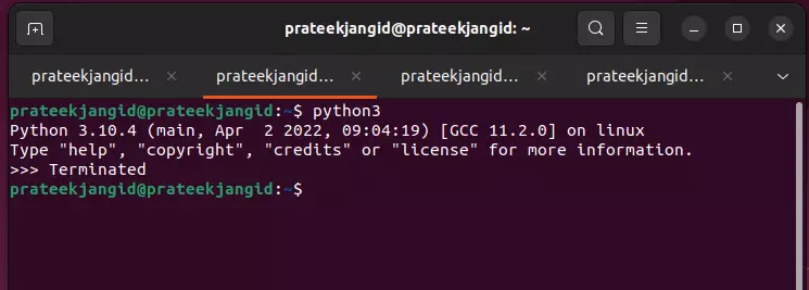 Kumaha Maéhan Sadaya Prosés Python dina Linux 15_2