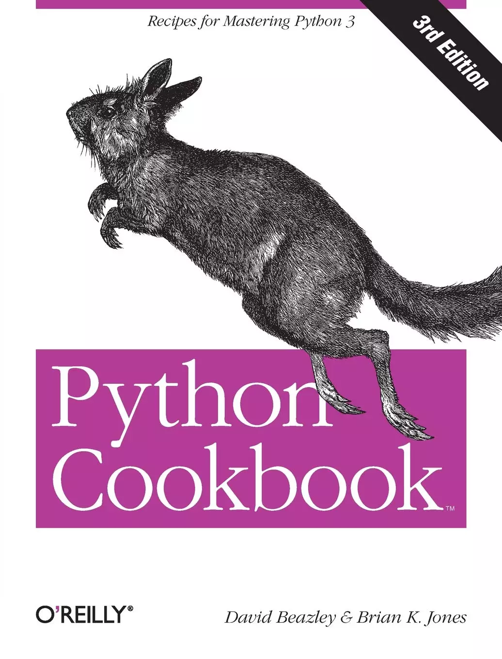 Top 10 des livres Python pour débutants 1608_4