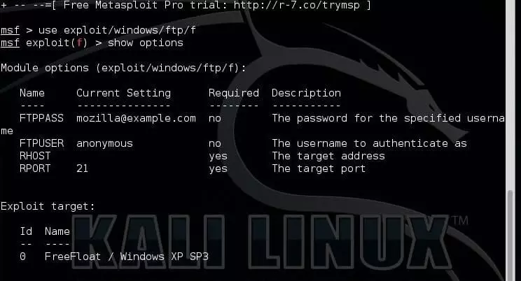 Metasploit のエクスプロイトを作成する 1691_10