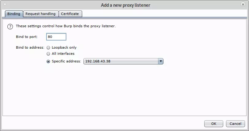 BurpSuite Tutorial for begyndere 1705_31