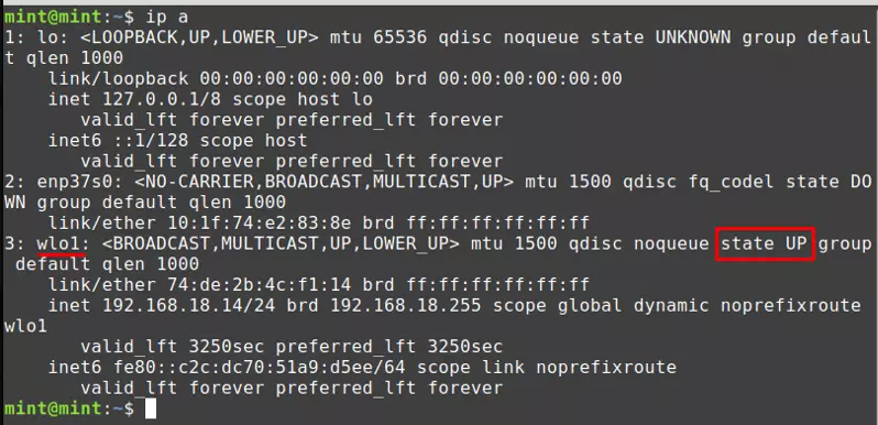 Linux Mint இல் Wi-Fi உடன் இணைப்பது எப்படி 176_9